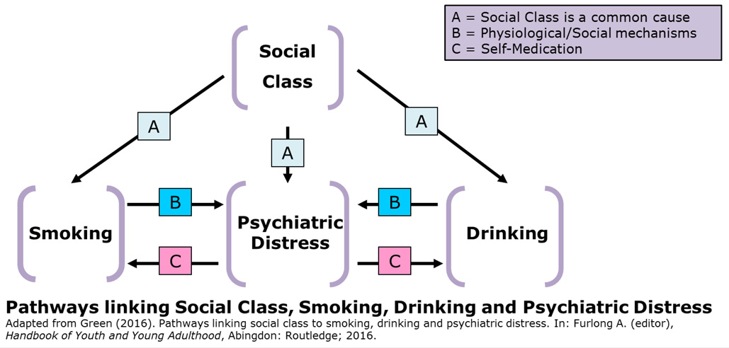 Does social class hold clues to patterns of smoking, drinking and ...